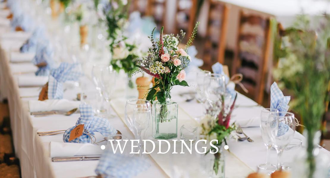 Home | W. Lewis Penkhull Nurseries | Stoke on Trent, Staffordshire